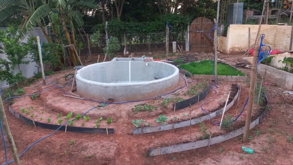 Um ano da horta mandala